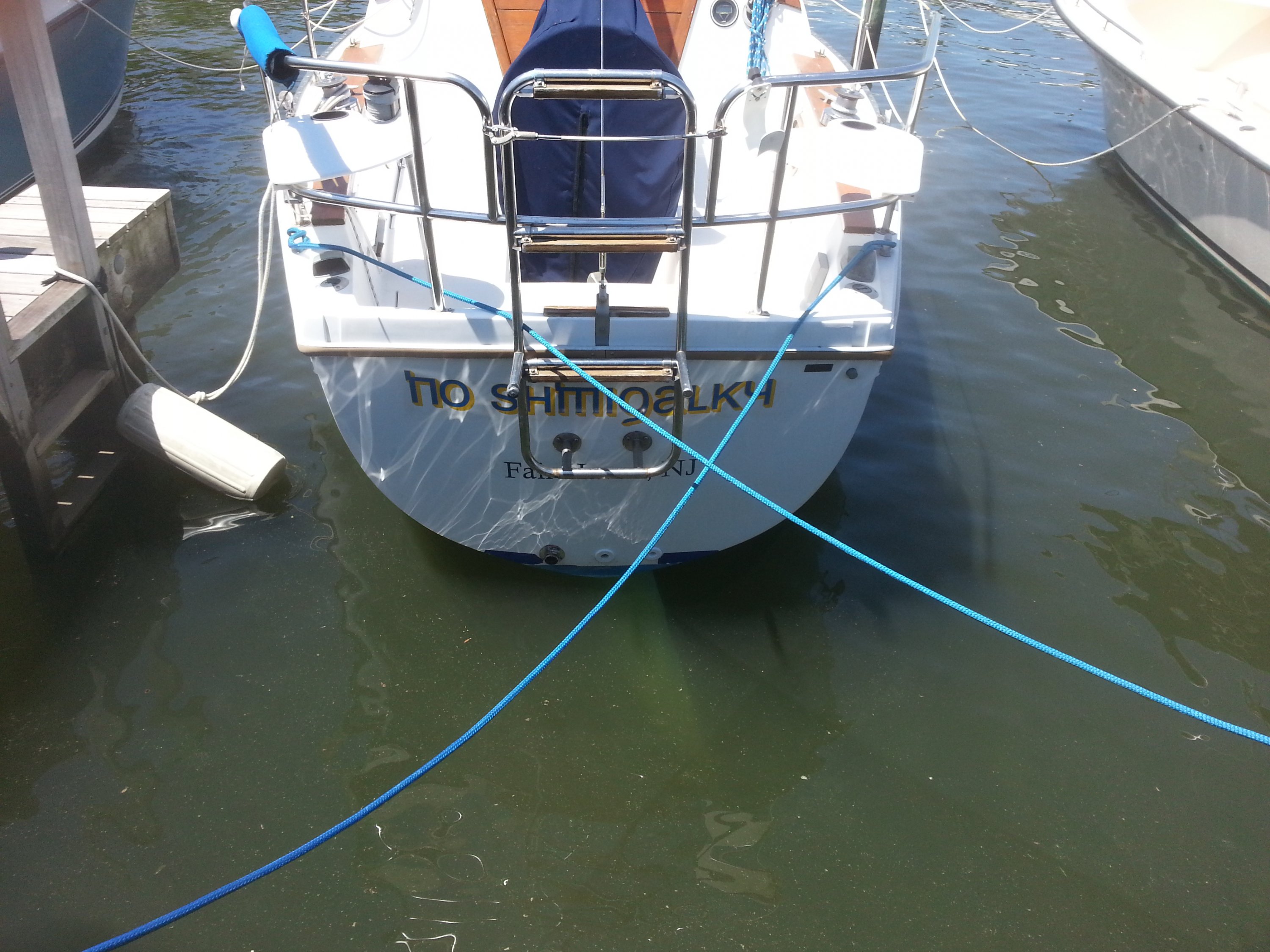 Boarding ladder at stern rail | Sailboat Owners Forums