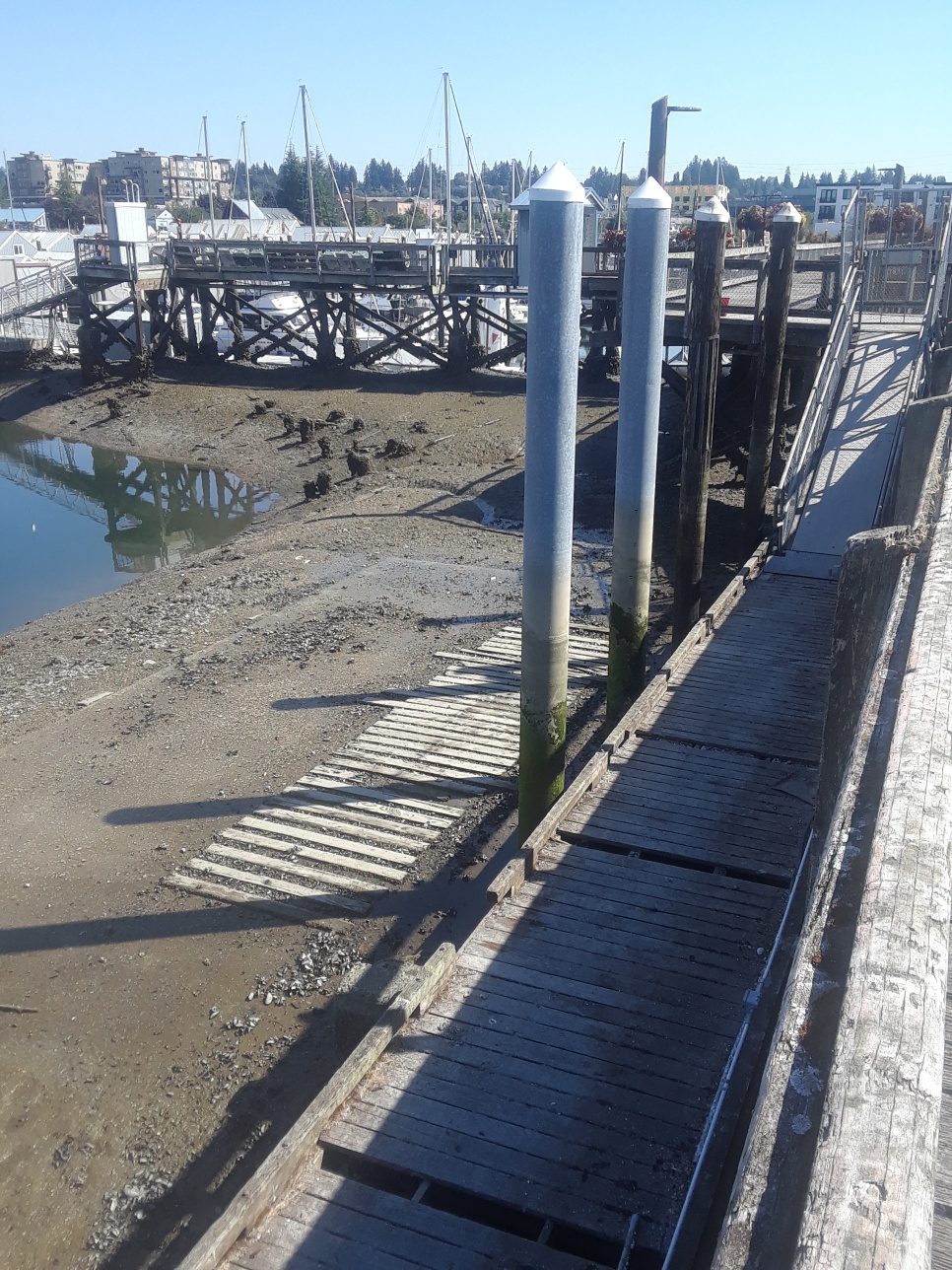 Yamaha 33 standing on keel? | Sailboat Owners Forums