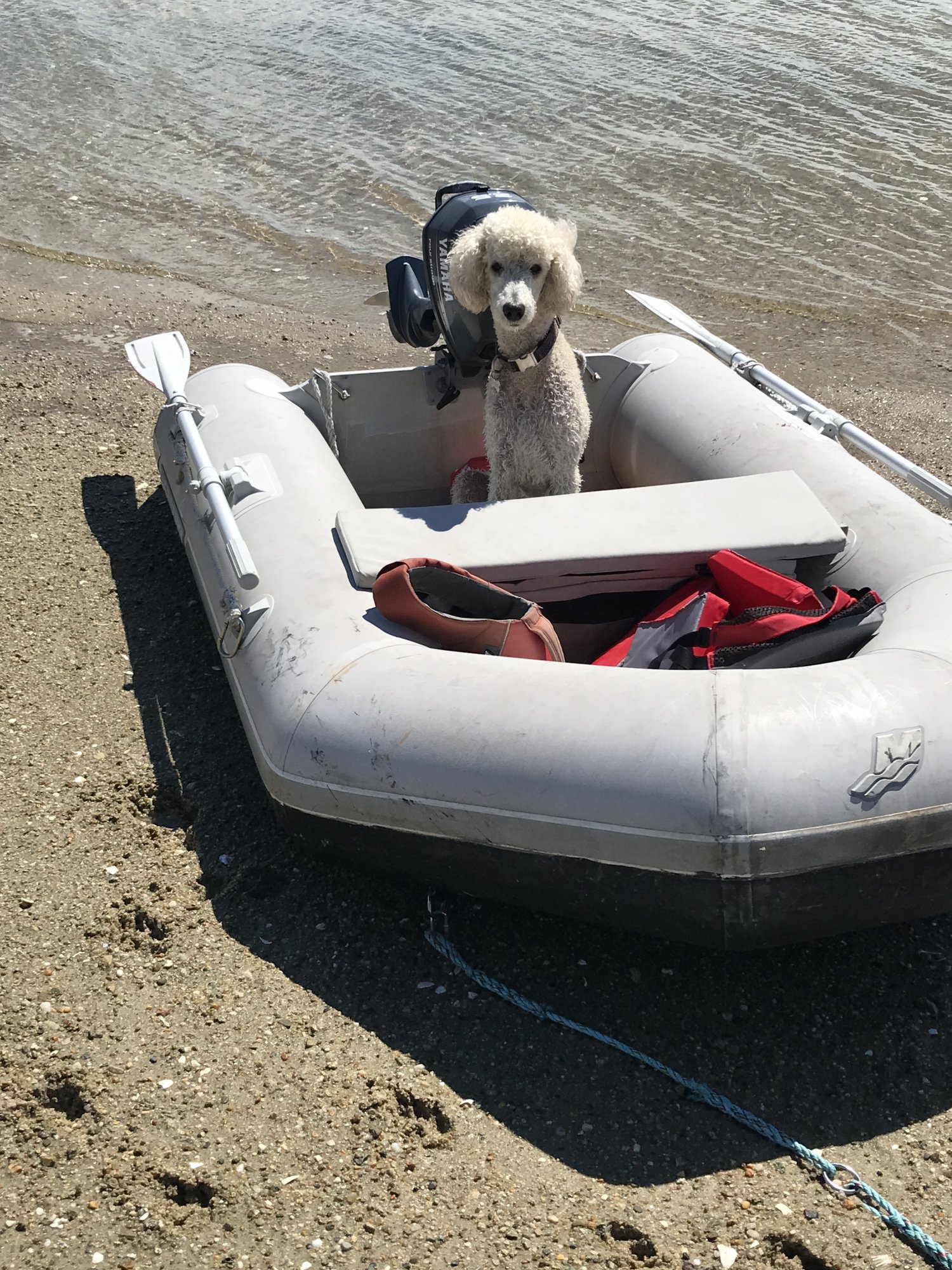 hypalon vs pvc | Sailboat Owners Forums
