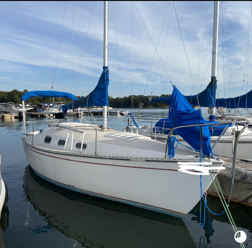 Chrysler 26 Cabin gutting/rennovation | Sailboat Owners Forums