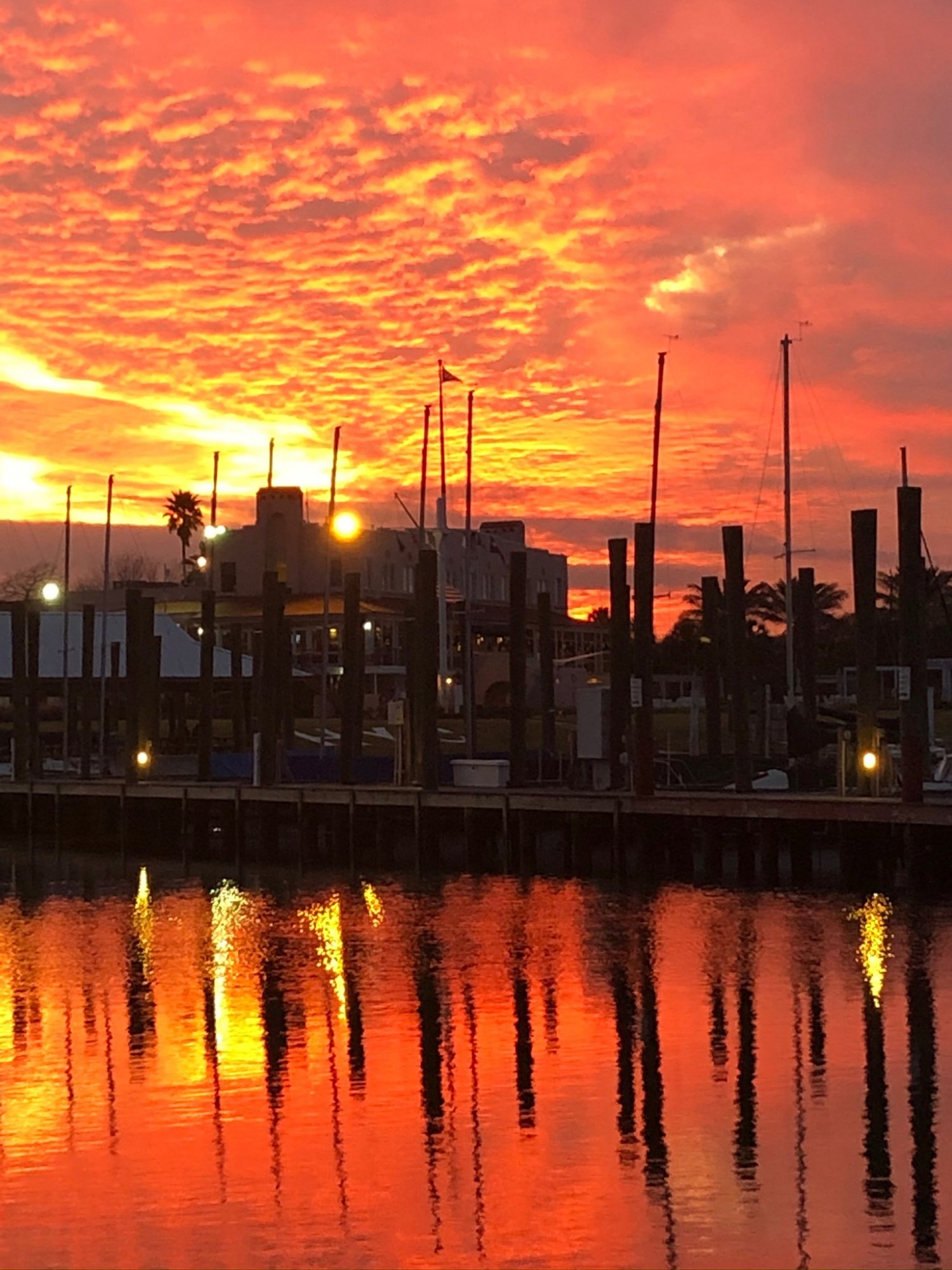 2020 Photo Contest | Sailboat Owners Forums