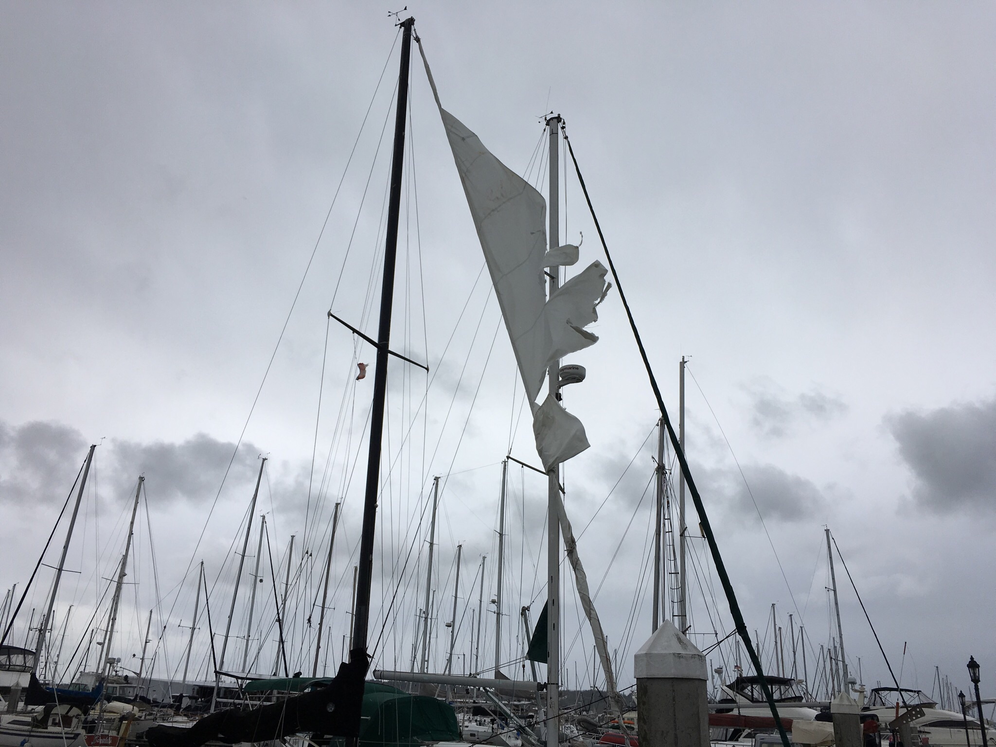 PNW Wind Storm | Sailboat Owners Forums