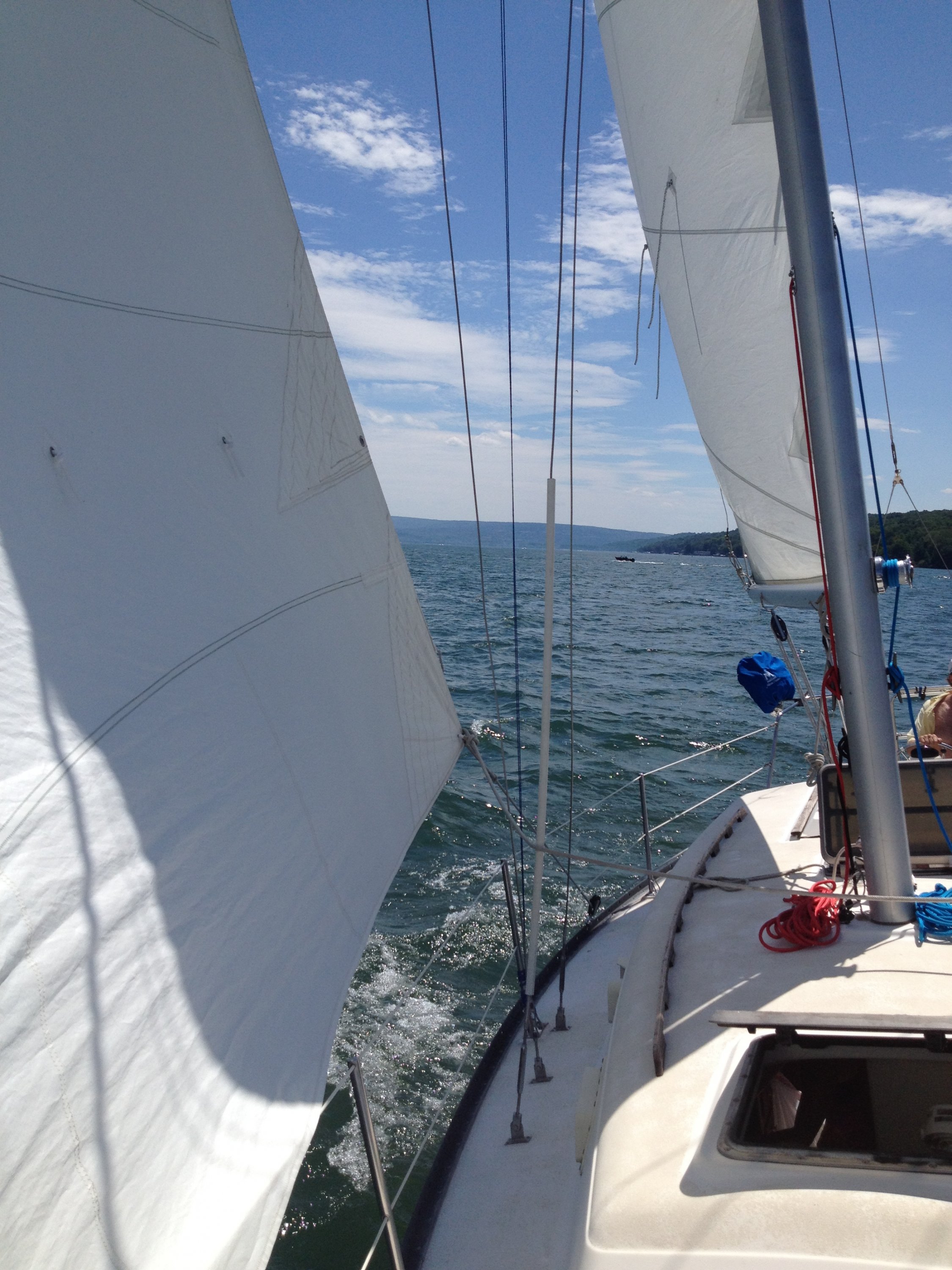 Jib sheet(s) attach to clew. Two lines or one? | Sailboat Owners Forums