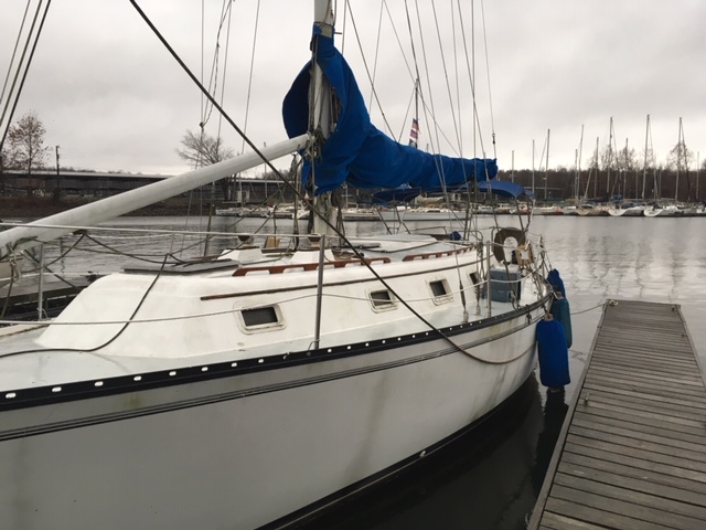 Considering a 1979 Hunter 37' Cherubini Cutter | Sailboat Owners Forums