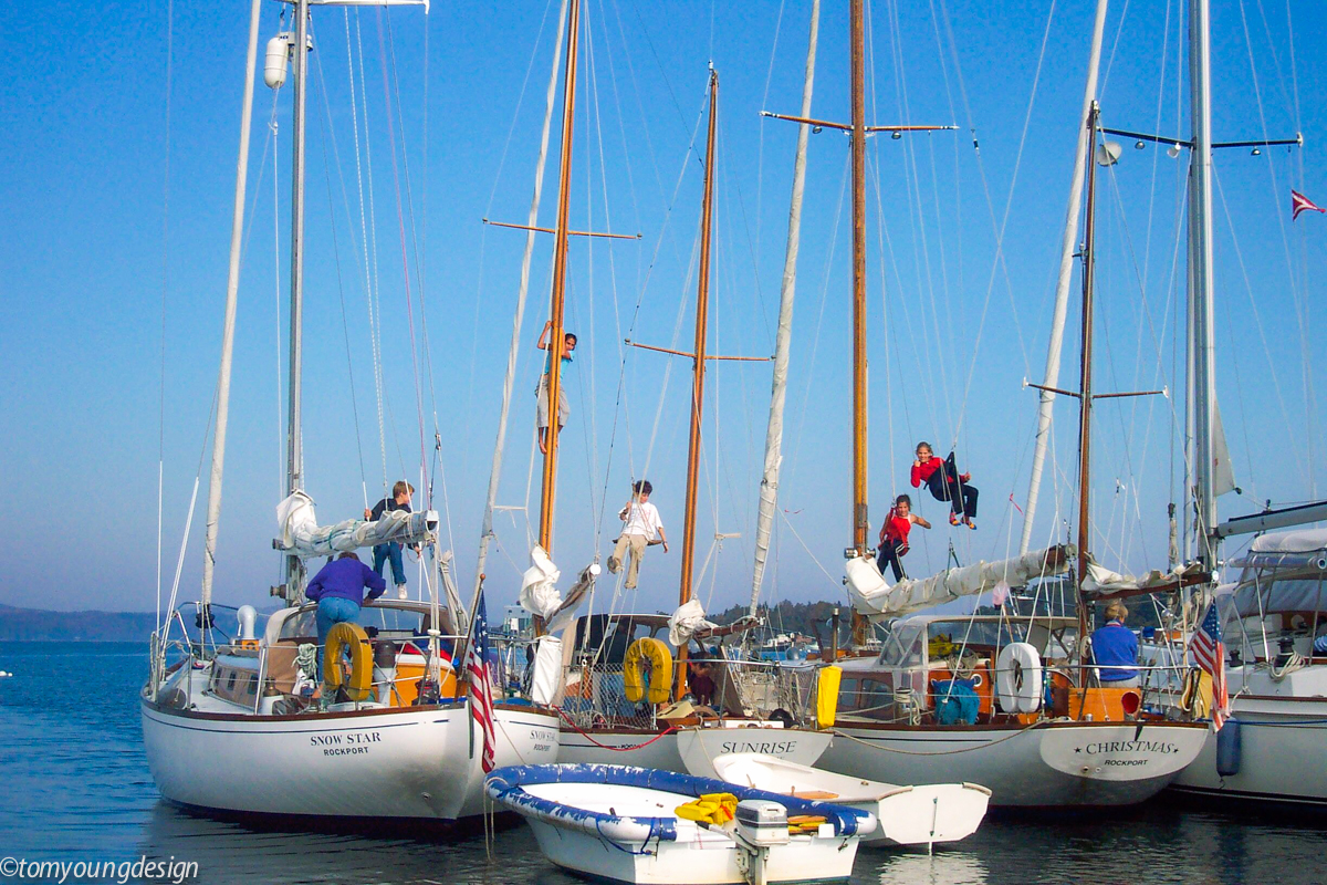 A Swarm of Sailboats | Sailboat Owners Forums