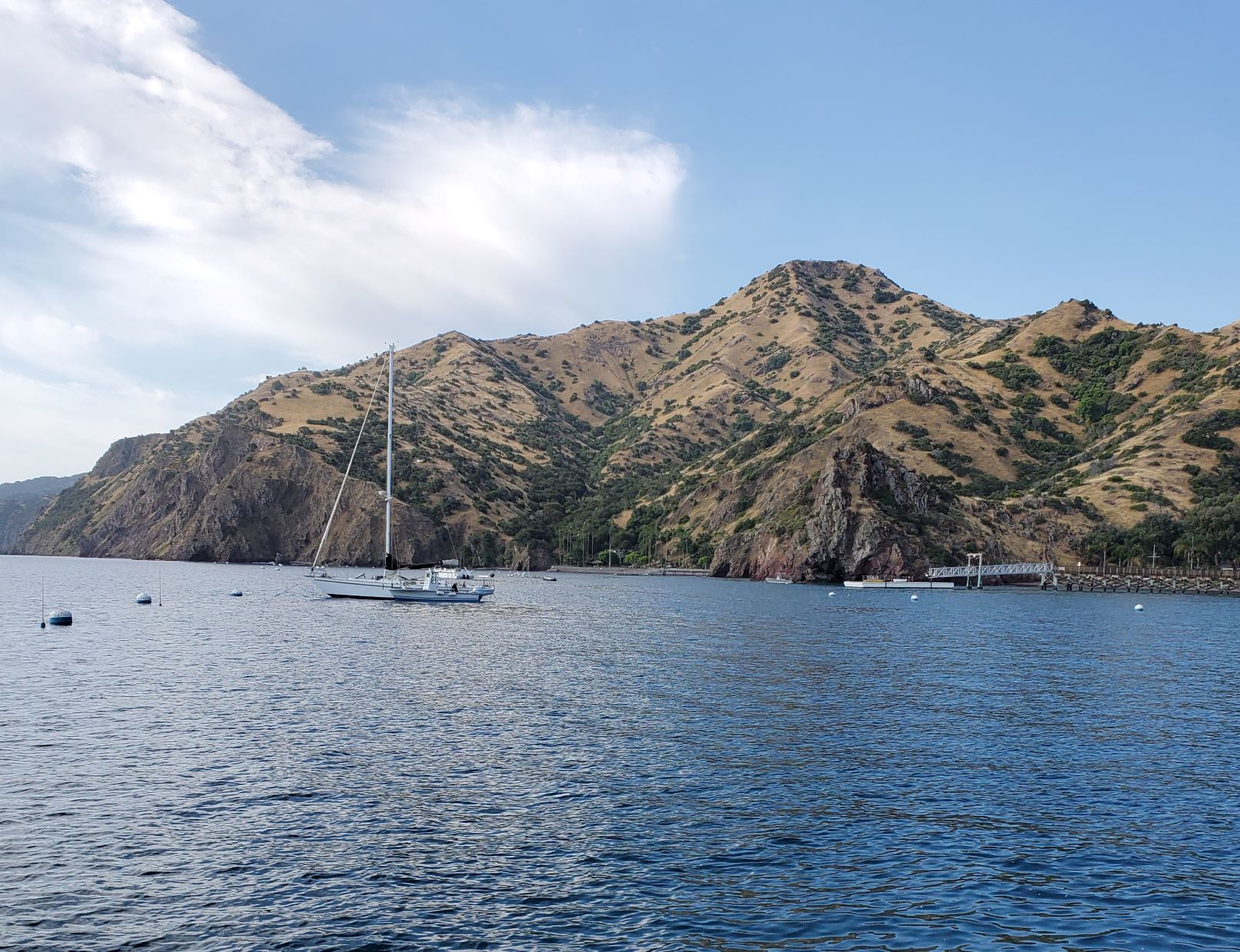 Notes on White Cove, and Yesterday’s Channel Crossing | Sailboat Owners ...