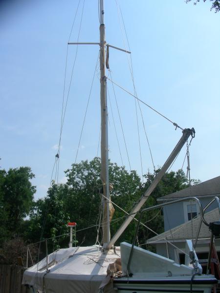 Mast raised with lifting rig still in place. | Sailboat Owners Forums