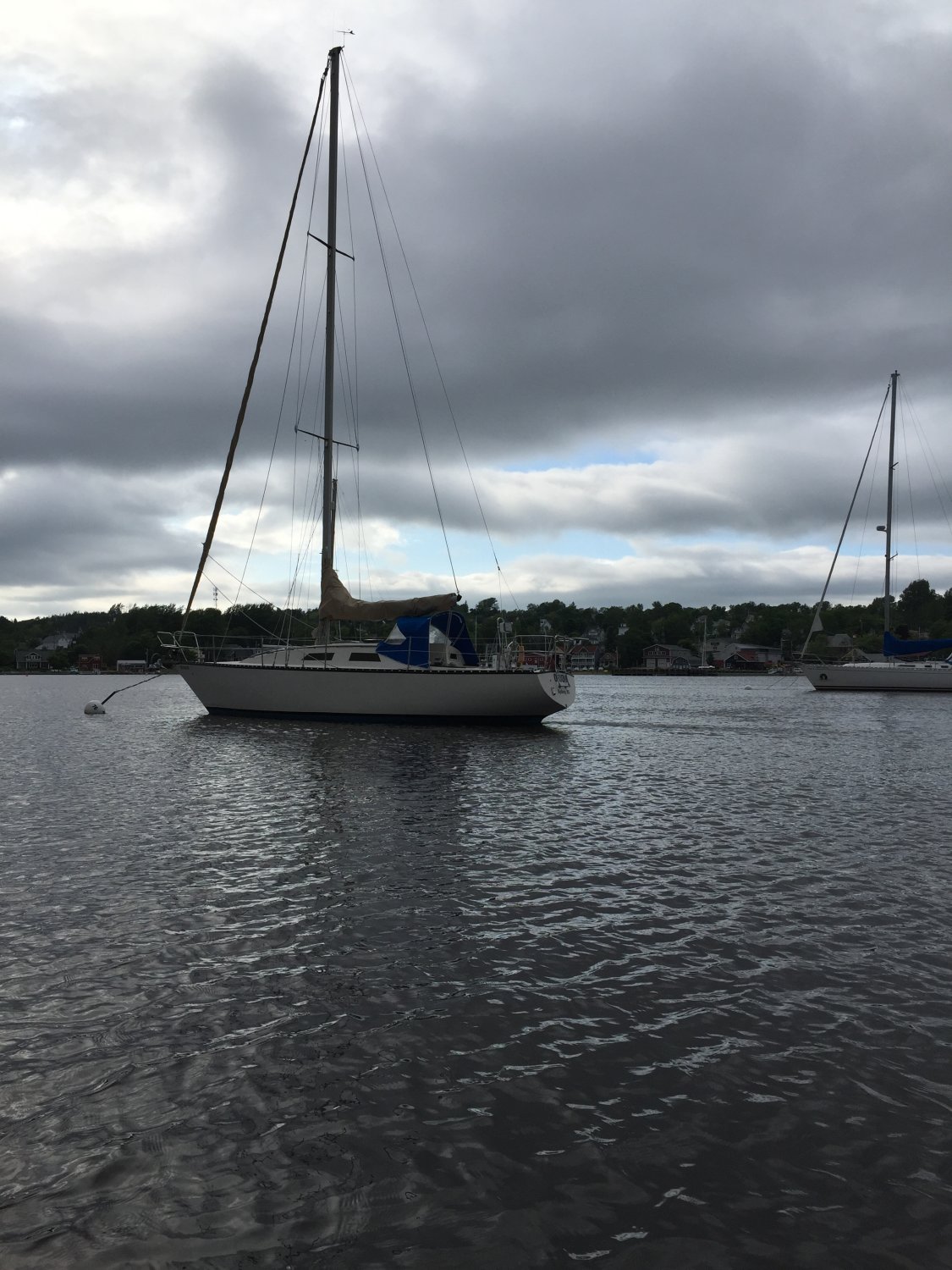 Orion mooring 1.jpeg | Sailboat Owners Forums