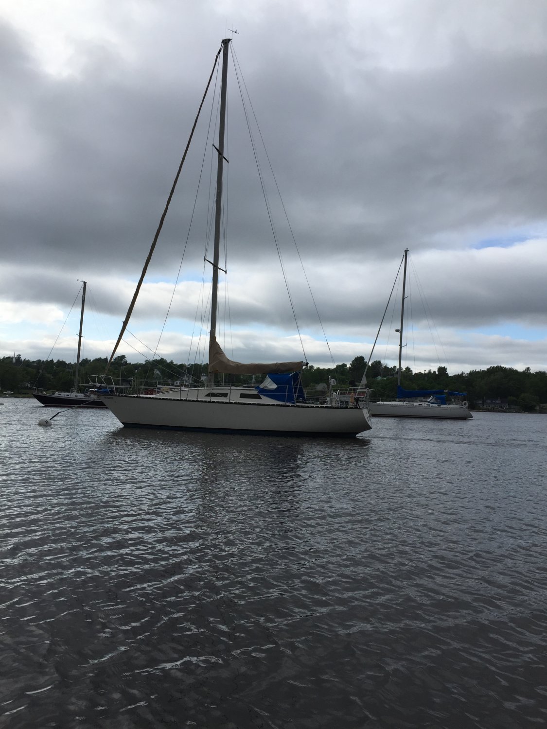 Orion mooring 2.jpeg | Sailboat Owners Forums