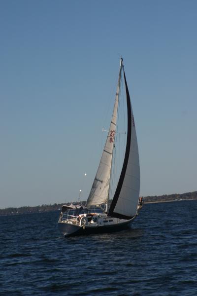 Sails set perfectly | Sailboat Owners Forums